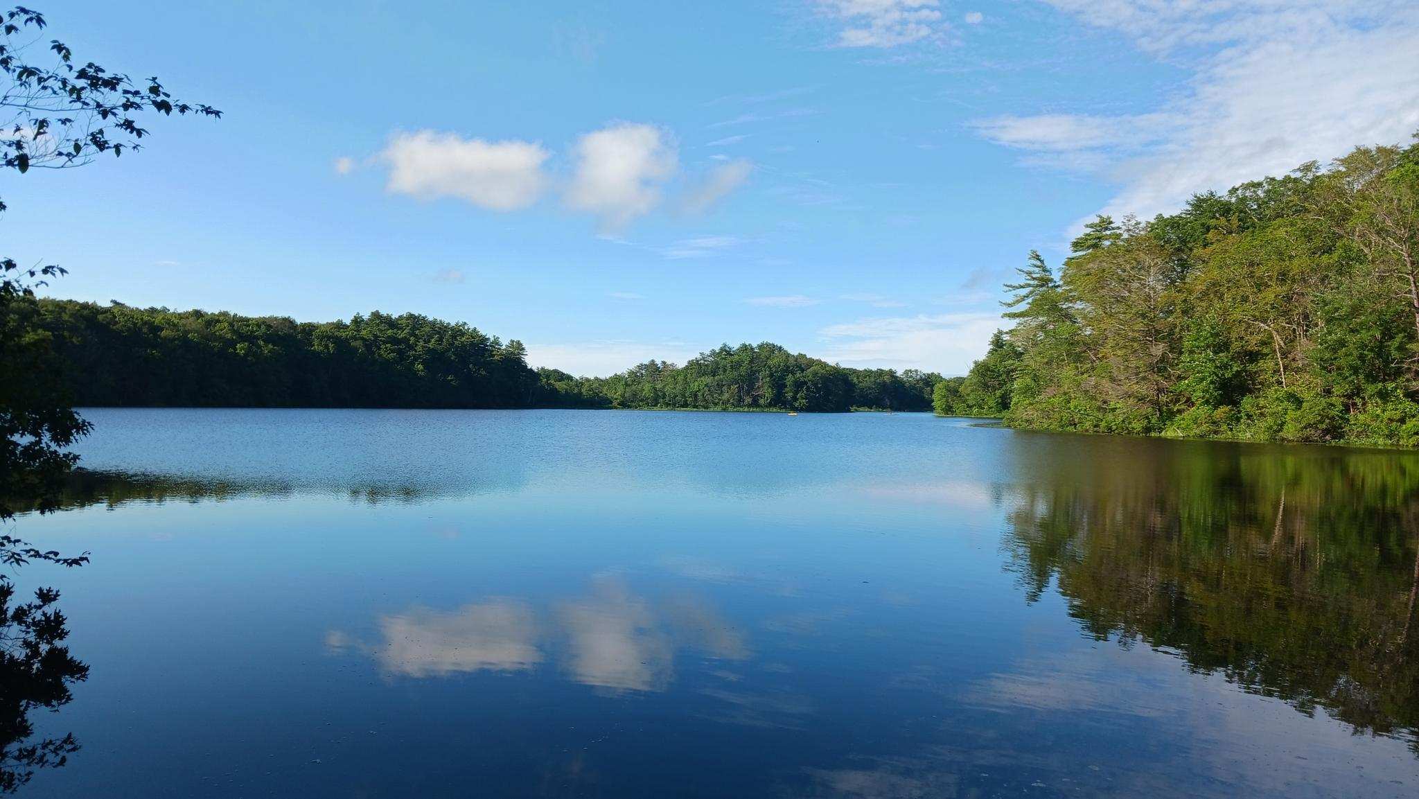 Top 10 Hikes and Walks in Crane Wildlife Refuge | Komoot