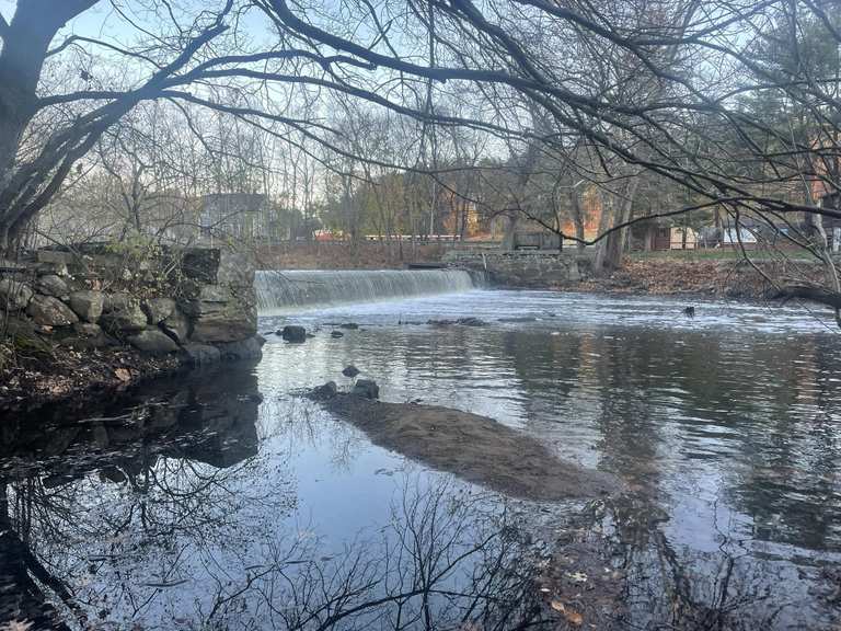 Top 10 Hikes and Walks in Bradley Palmer State Park | Komoot