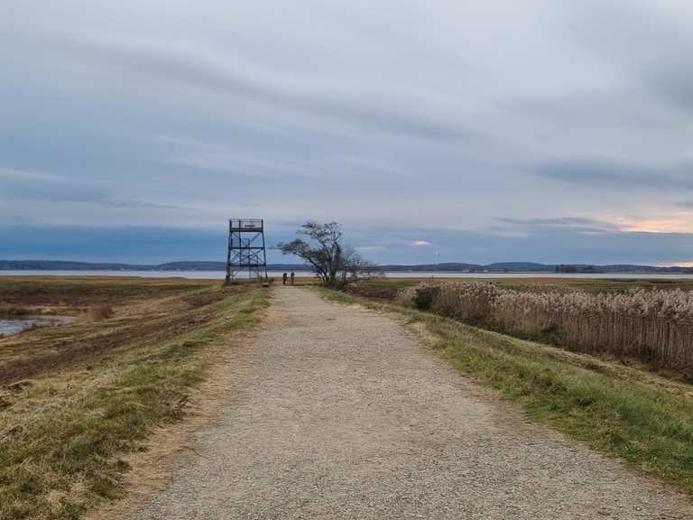 Top 9 Hikes and Walks in Parker River National Wildlife Refuge | Komoot