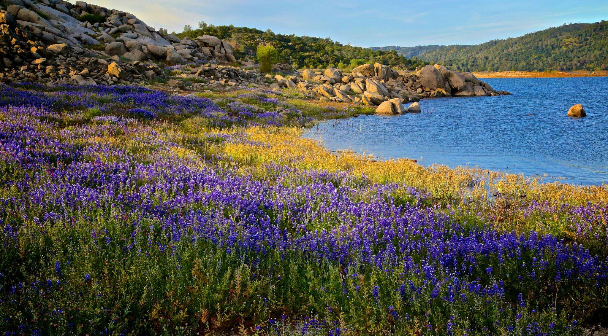 Top 10 Hikes and Walks in Folsom Lake State Recreation Area | Komoot