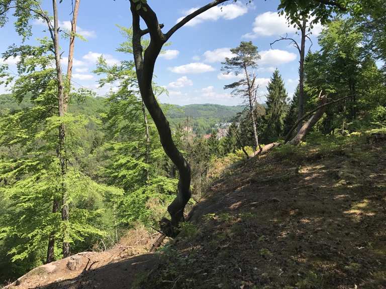 Top 5 Hikes and Walks around Eppenbrunn | Komoot