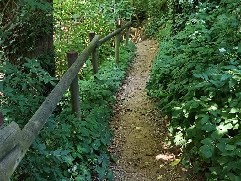 The best gravel rides in the Zittau Nature Park | Komoot