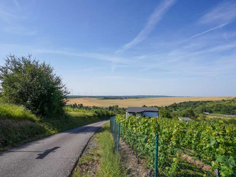 Ausflugsziele rund um Kabelsketal - Die Top 20 | Komoot