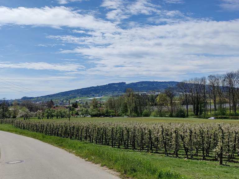 Ausflugsziele rund um Oberteuringen - Die Top 20 | Komoot