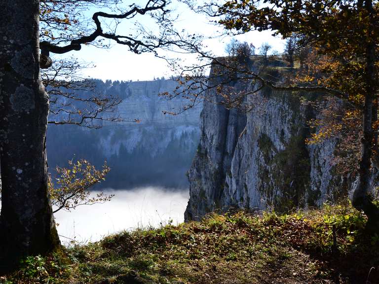 Top 20 Hikes and Walks in the Jura Mountains | Komoot