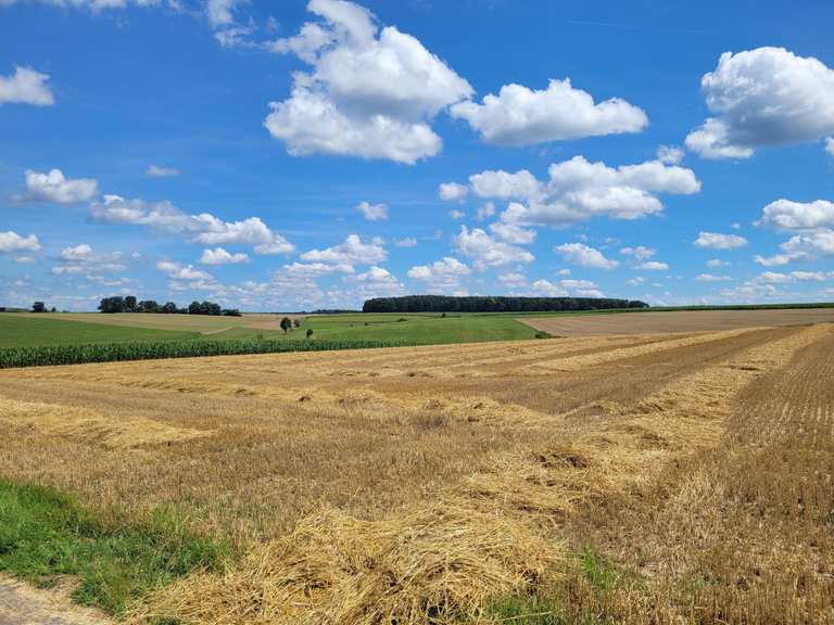 Ausflugsziele rund um Achstetten - Die Top 20 | Komoot