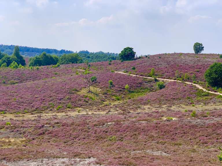 De bedste gravelruter omkring Duiven | Komoot