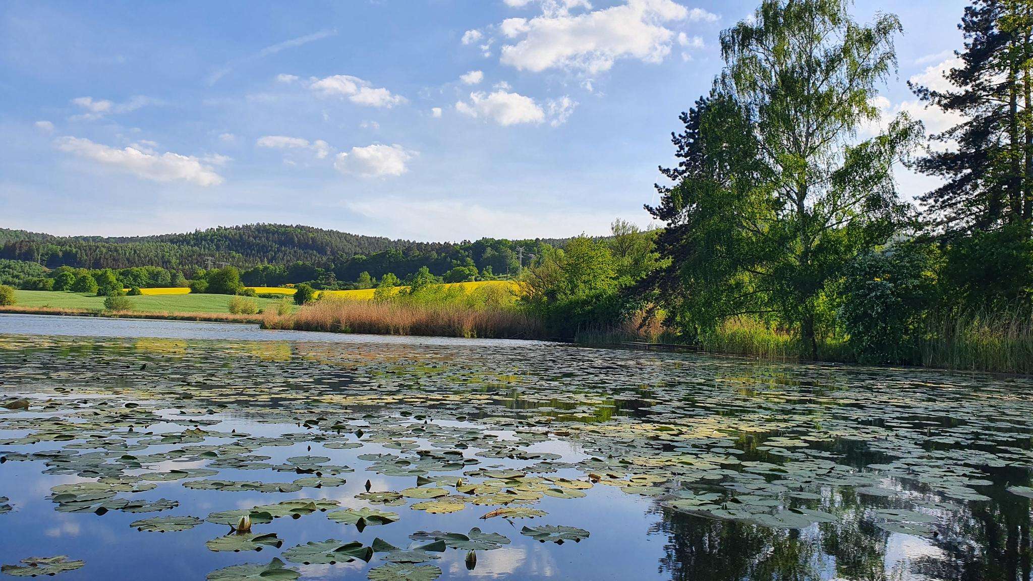 Ausflugsziele rund um Breitungen/Werra - Die Top 20 | Komoot