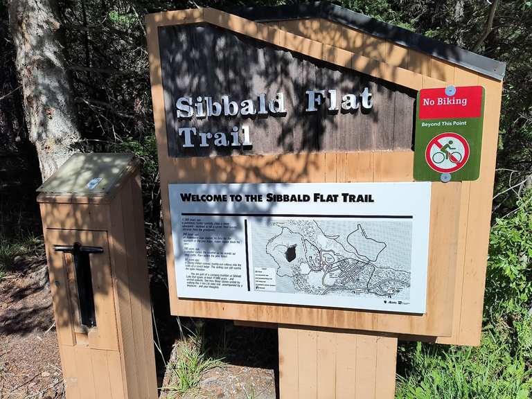 Top 5 Hikes and Walks in Sibbald Lake Provincial Recreation Area | Komoot