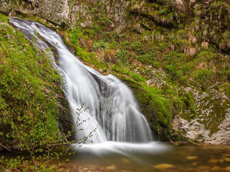 The best waterfall hikes and walks in Naturpark Schwarzwald Mitte/Nord ...