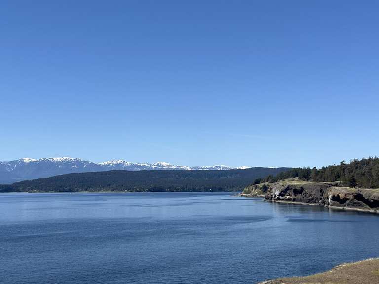 Top 9 Most Beautiful MTB Trails around Area A (Baynes Sound) | Komoot