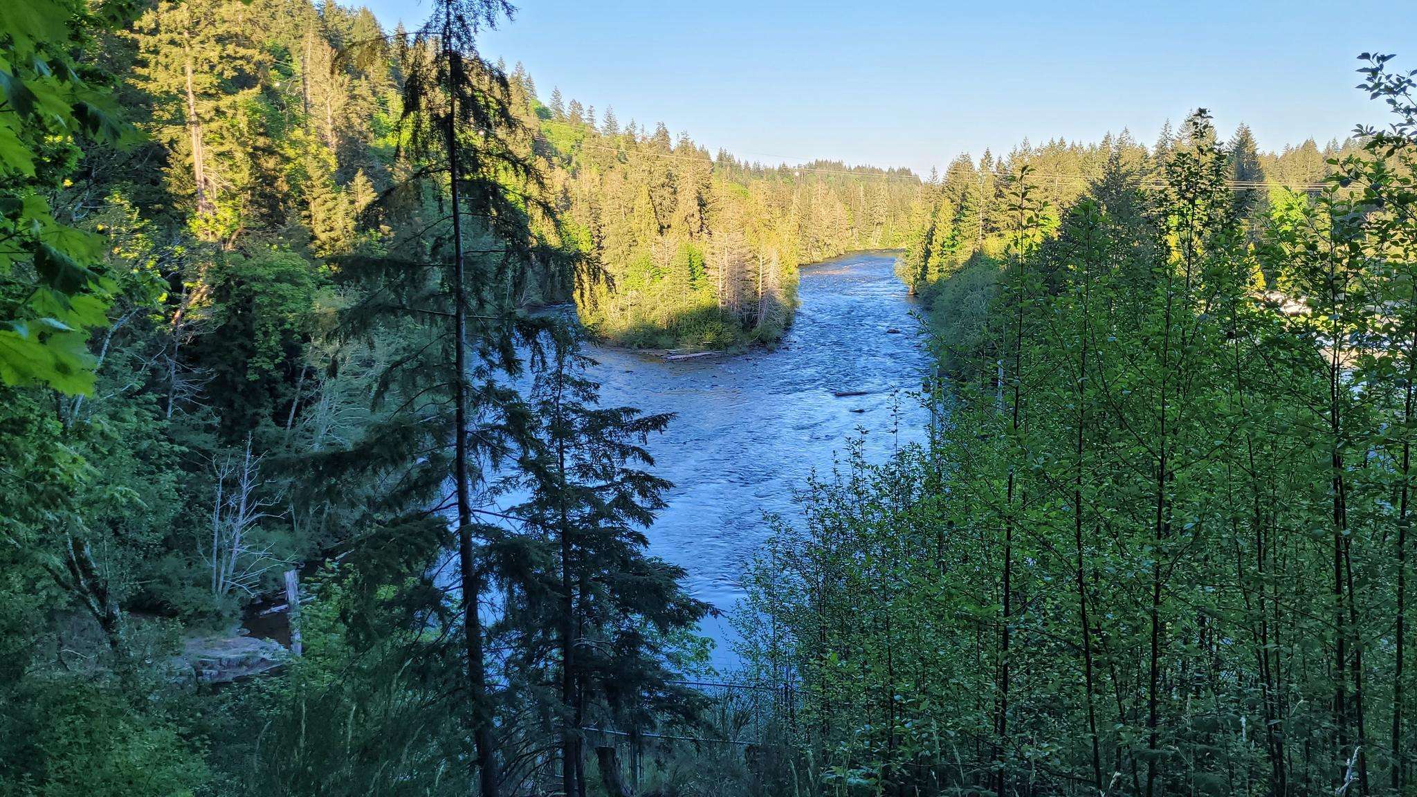 Los mejores sitios que ver en Area D (Oyster Bay/Buttle Lake) - Top 20 ...