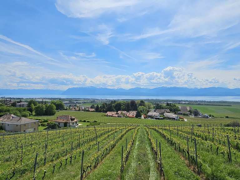 Attractions and Places To See in District de Morges - Top 20 | Komoot