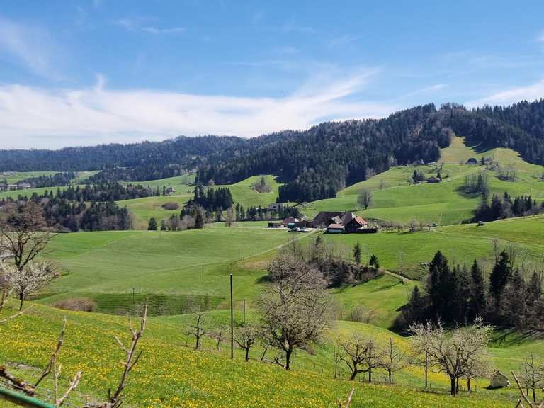 Ausflugsziele in Oberaargau - Die Top 20 | Komoot
