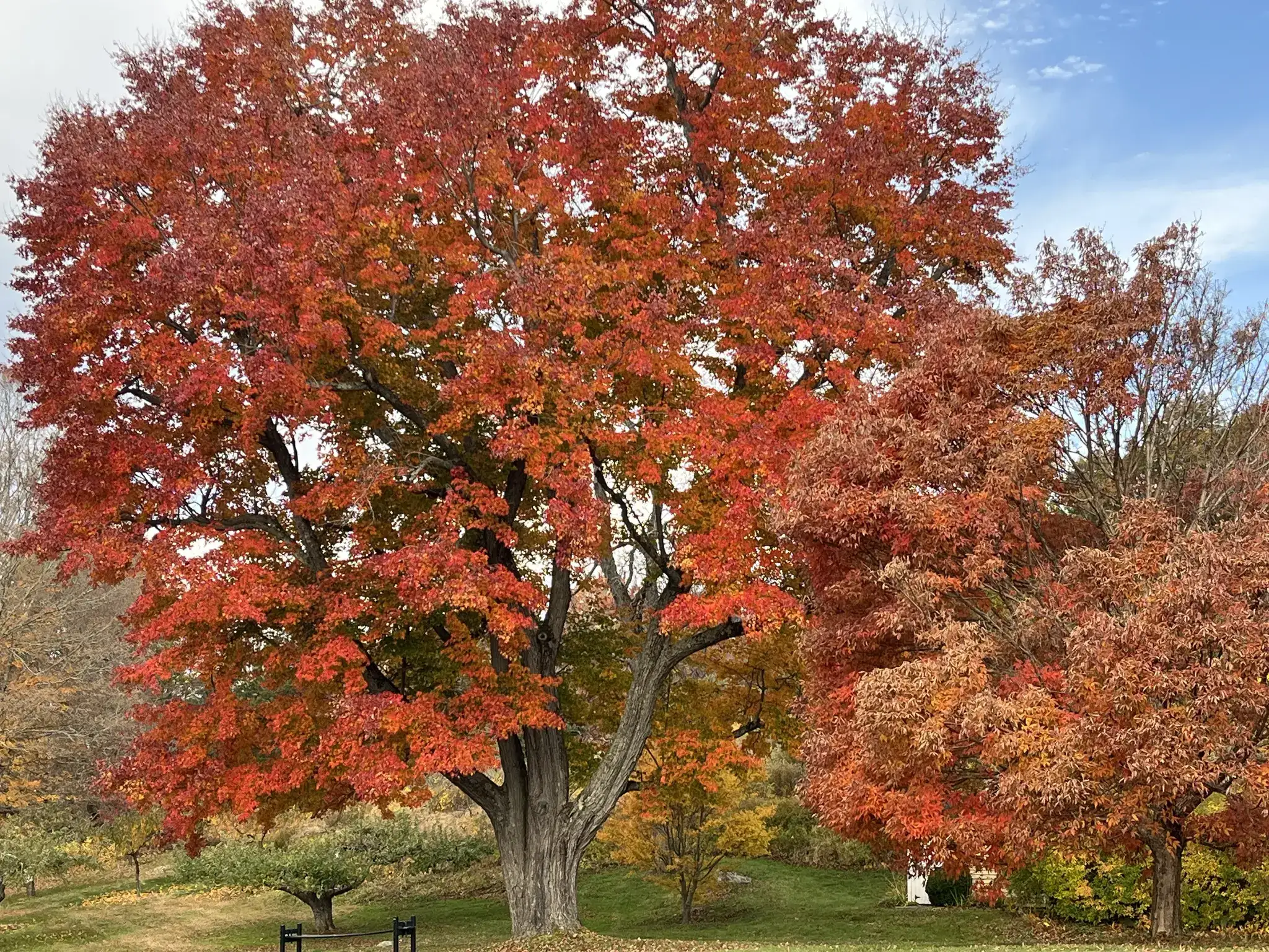 Top 5 Hikes and Walks in Lake Waramaug State Park | Komoot