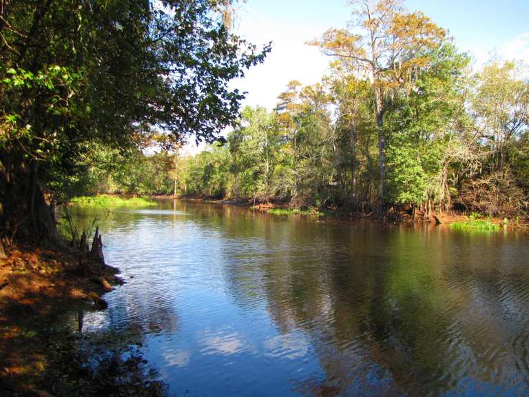 Top 10 Hikes and Walks in Withlacoochee State Forest | Komoot