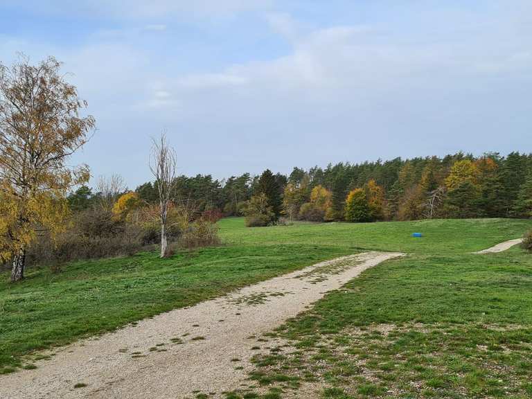 Die 10 schönsten Wanderungen rund um Kasendorf | Komoot
