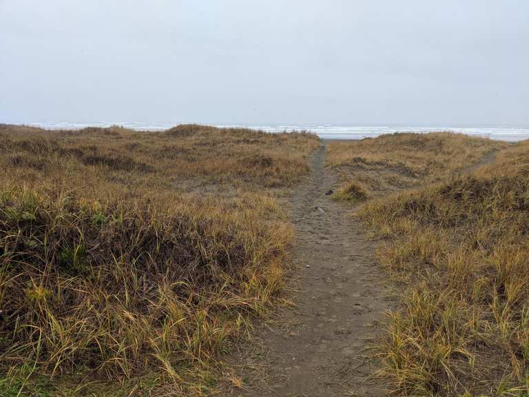Le 3 escursioni e trekking migliori nei dintorni di Copalis Beach | komoot