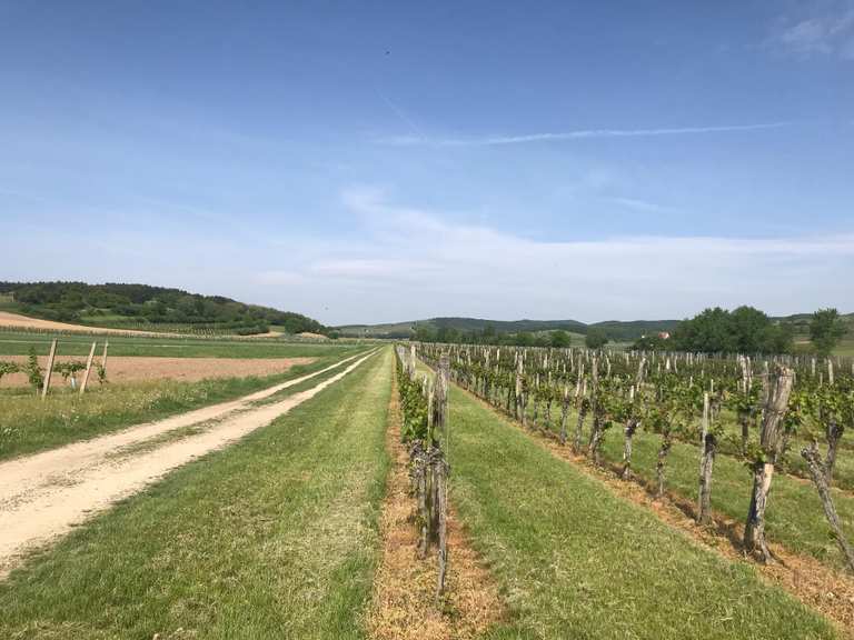 Ausflugsziele in Bezirk Oberpullendorf - Die Top 20 | Komoot