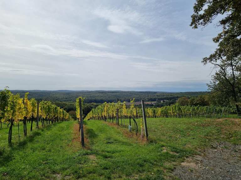 Attractions and Places To See in Bezirk Oberwart - Top 20 | Komoot