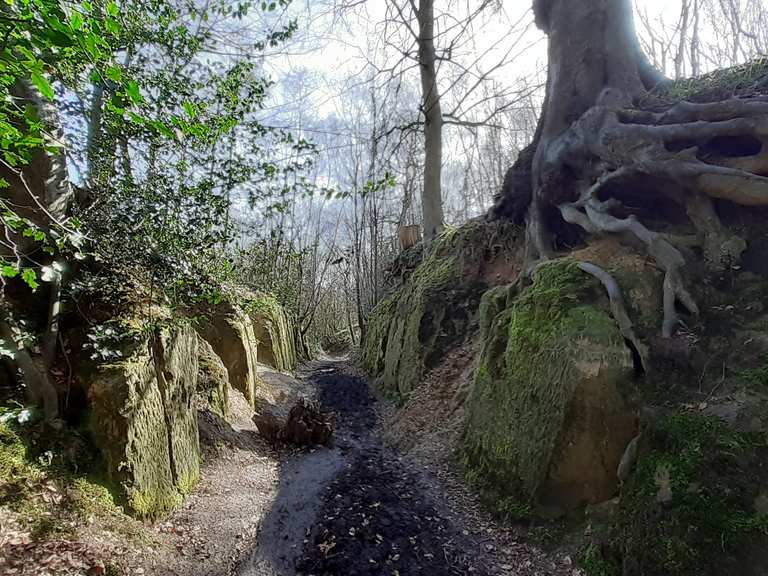 Top 10 Most Beautiful Mtb Trails In Kent Komoot