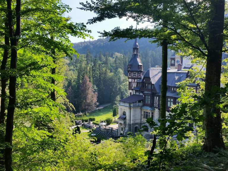 Los mejores sitios que ver en Prahova - Top 20 | Komoot | Komoot