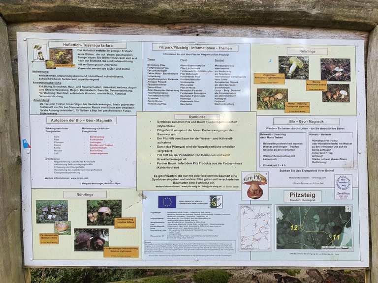 Easy hikes and walks in Iztacalco | Komoot