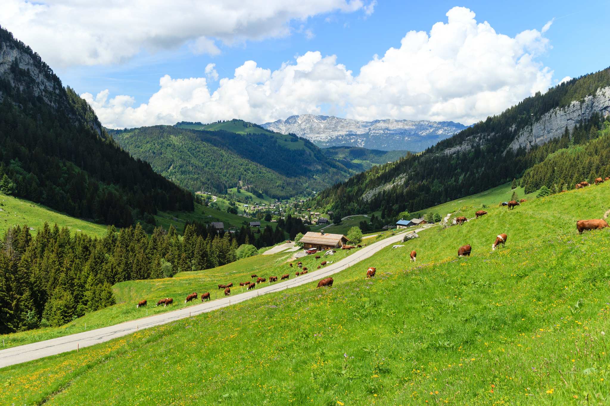 Les 20 plus beaux cols de montagne autour de l' Auvergne Rhône Alpes ...