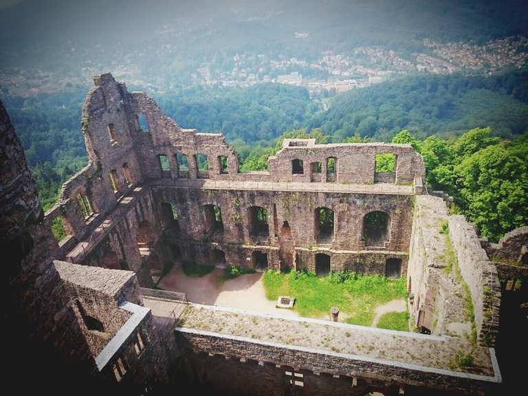 Die 10 schönsten Wanderungen rund um Gernsbach | Komoot