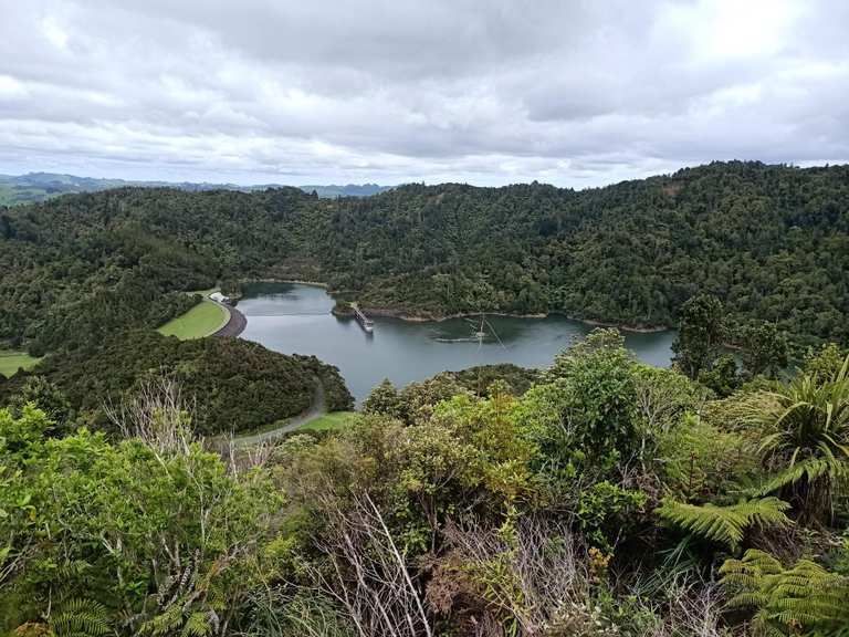 Top 8 Hikes and Walks in Hunua Ranges | Komoot