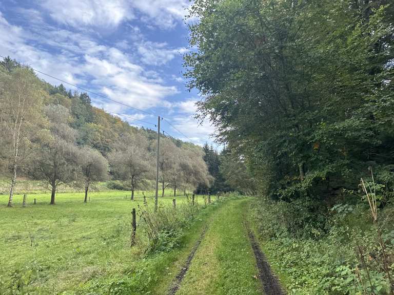 Die 10 schönsten Wanderungen rund um Kleinbundenbach | Komoot