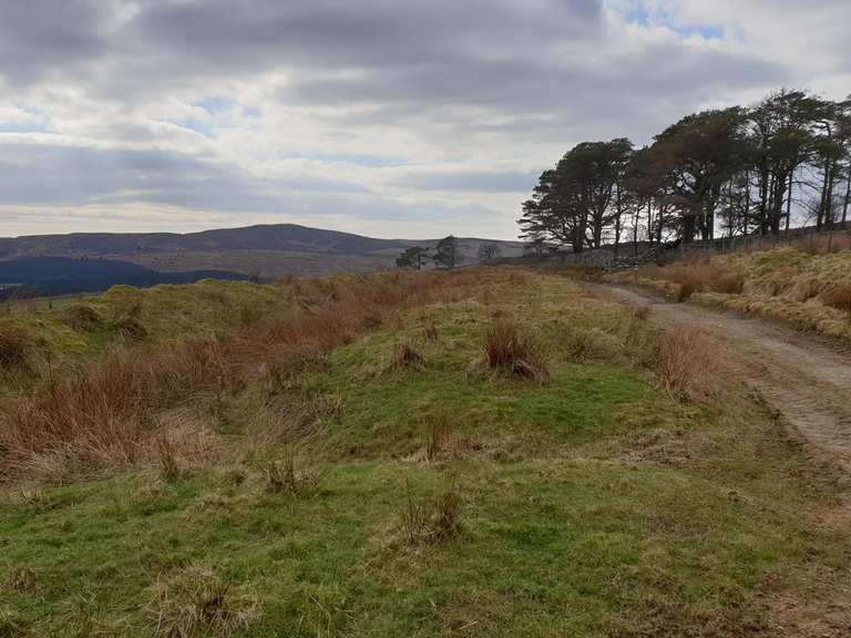 Top 6 randonnées et balades dans Hafod Elwy Moor National Nature ...