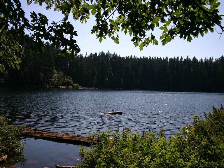 Top 6 Running Trails in Battle Ground Lake State Park | Komoot