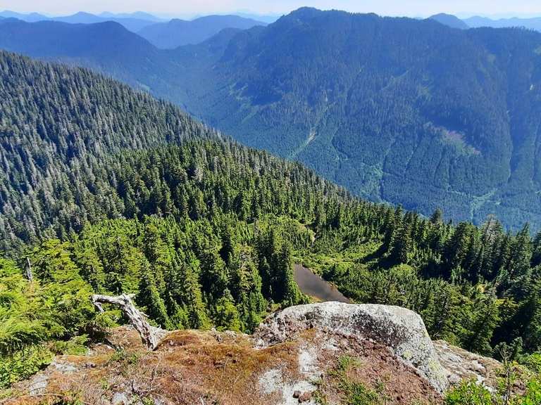 Top 6 Hikes and Walks around Harrison Lake | Komoot
