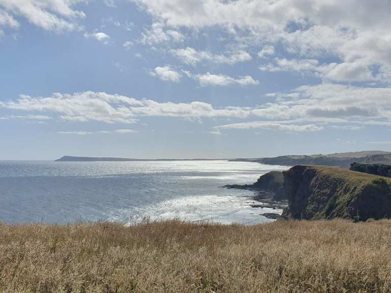 Top 6 Hikes and Walks in Western Port Intertidal Coastal Reserve | Komoot