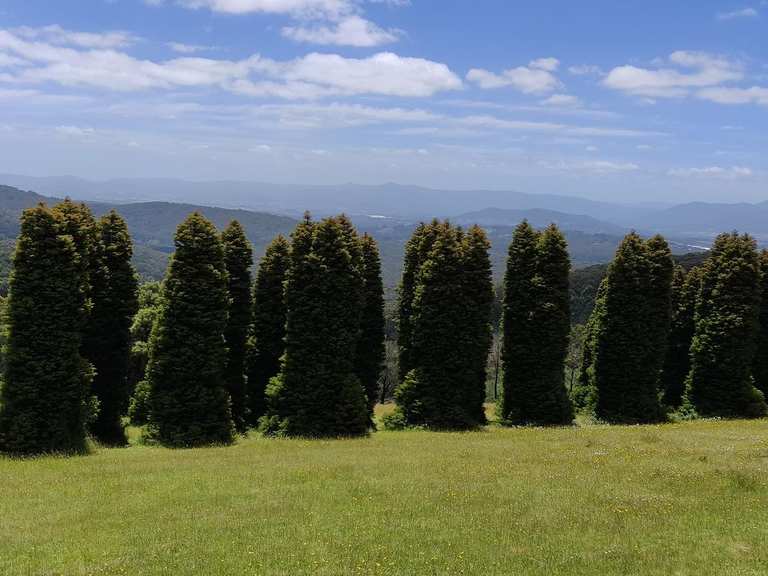 Top 7 Most Beautiful MTB Trails in Silvan Reservoir | Komoot