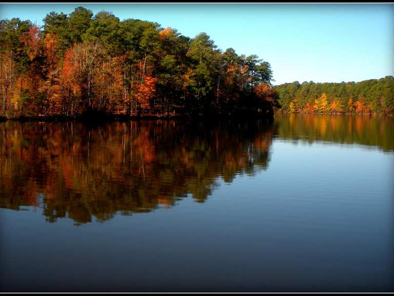 Top 8 Hikes and Walks in Croft State Park | Komoot