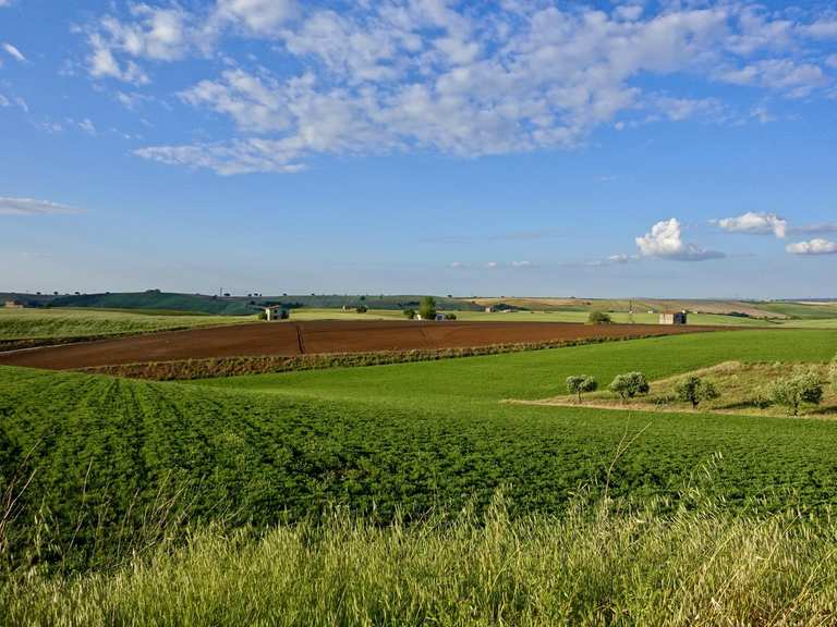 Top 6 Hikes and Walks around Maschito | Komoot