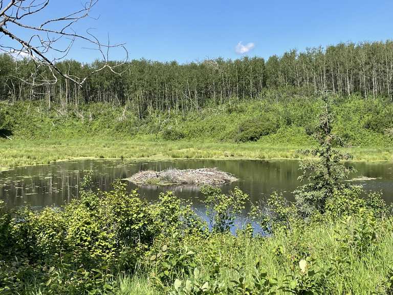 Top 5 Bike Rides and Cycling Routes in Cooking Lake / Blackfoot ...