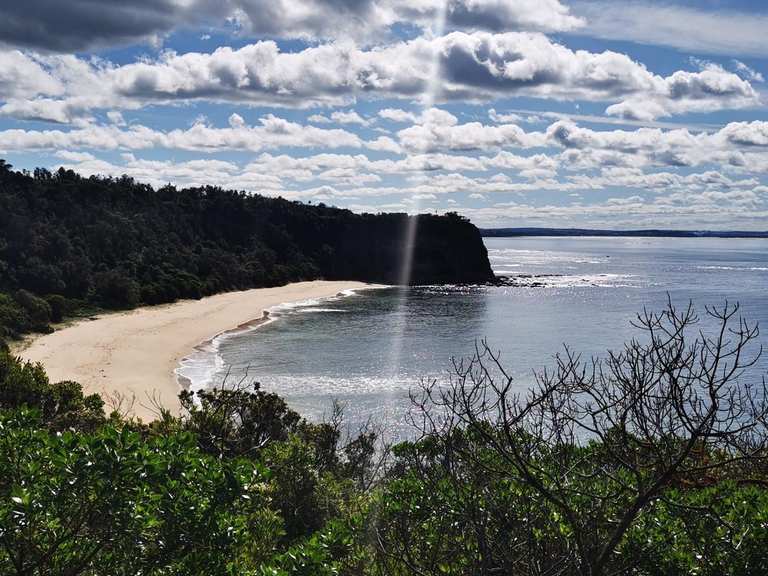 The best cycling routes in Wonthaggi Heathlands Nature Conservation ...