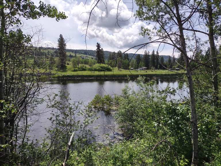 Top 5 Hikes and Walks in Ellison Provincial Park | Komoot