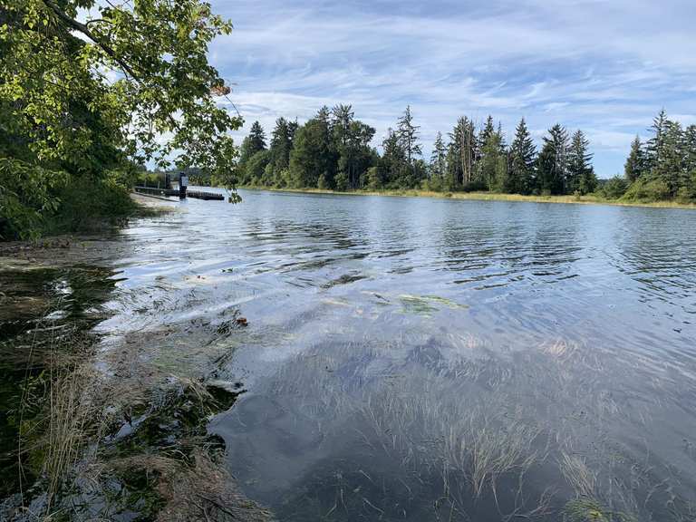 Top 6 Hikes and Walks in Crown Land Reserve | Komoot