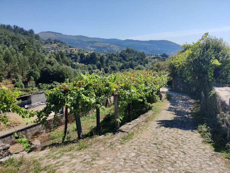 Top 5 Hikes and Walks around Paredes de Coura e Paredes de Coura e ...