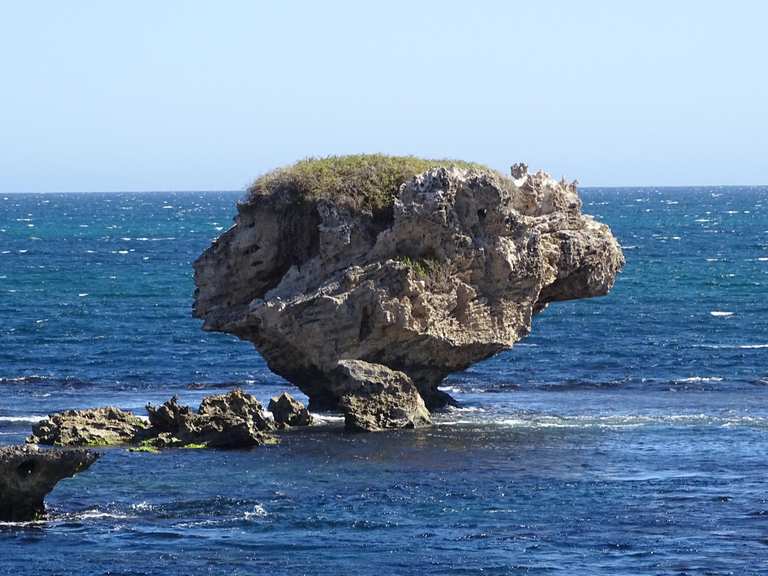 Top 7 Hikes and Walks in Rockingham Lakes Regional Park | Komoot