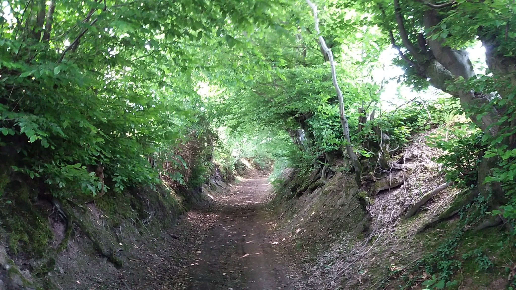 Die 10 schönsten Wanderungen rund um Kalletal | Komoot