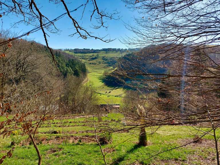 Die 10 schönsten Wanderungen rund um Krähenberg | Komoot