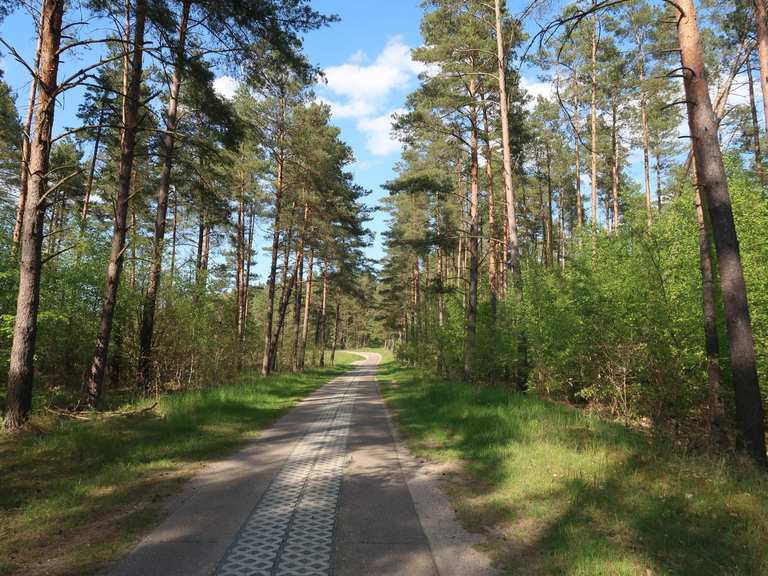 Die 10 schönsten Wanderungen rund um Kratzeburg | Komoot