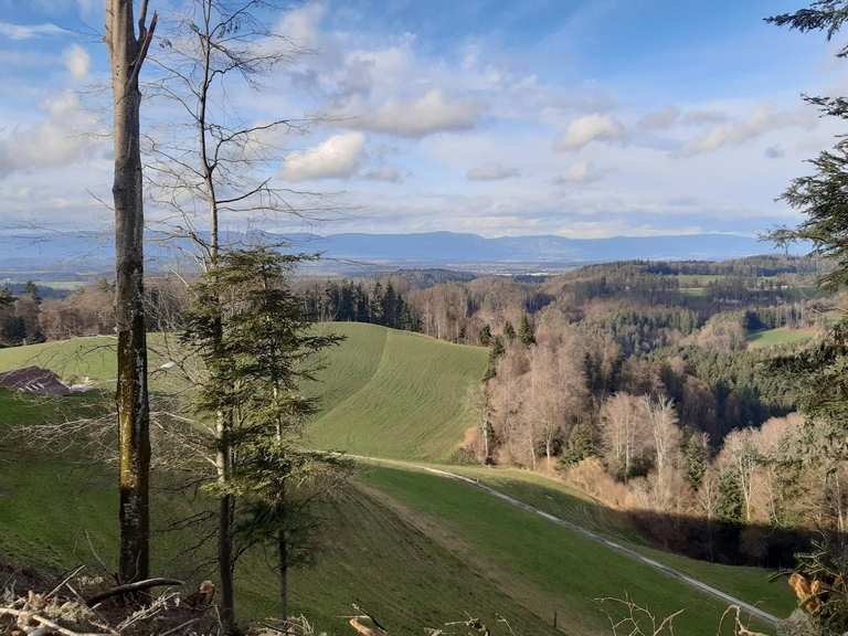 Die 10 schönsten Wanderungen rund um Krauchthal | Komoot