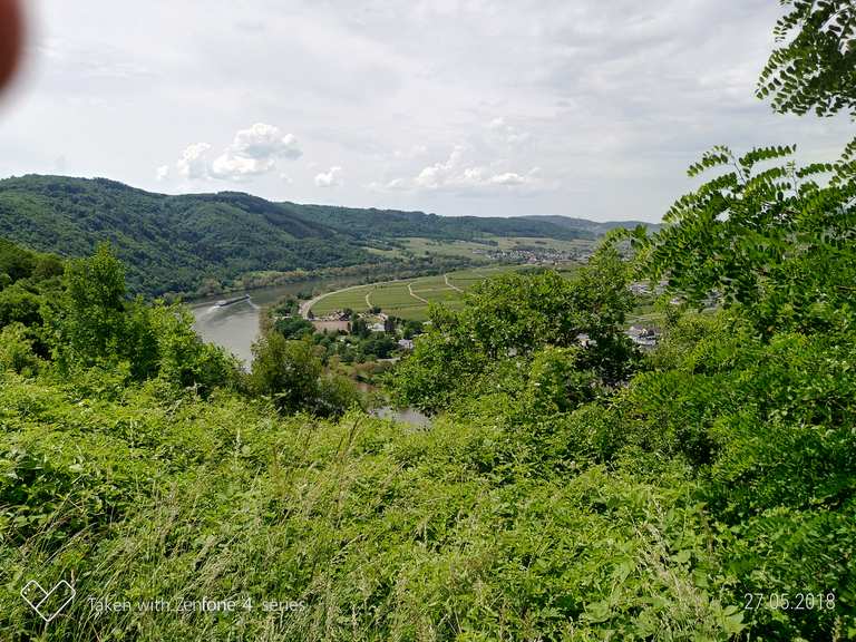 De 10 mooiste wandelroutes rond Kröv | Komoot