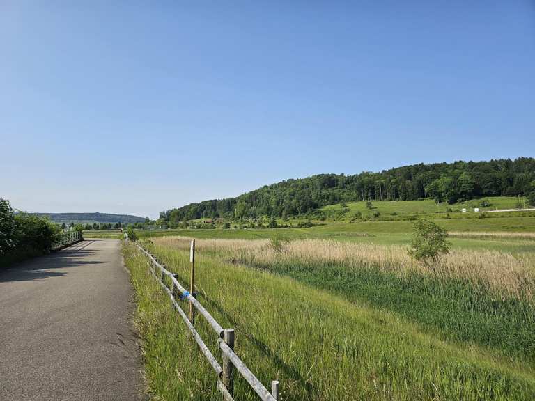 Ausflugsziele rund um Wettswil am Albis - Die Top 20 | Komoot